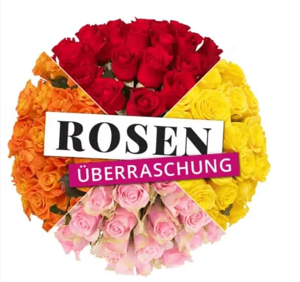 Blume Ideal: Rosenüberraschung mit 50 Rosen für 30,48 € inkl. Versand 🌹