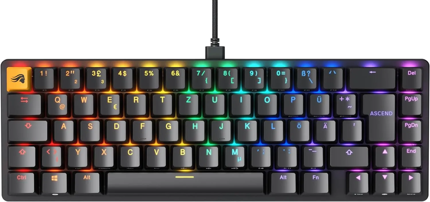 Glorious Gaming GMMK 2 Compact (65%) – Mechanisches Gaming-Keyboard für ...