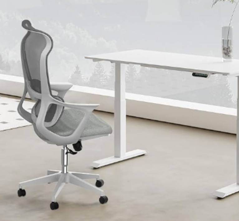 FLEXISPOT LITE - Ergonomischer Bürostuhl für 65,00 € inkl. Versand